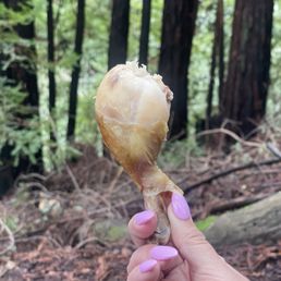 Sol Food Mill Valley Mill Valley, CA 94941 | Explore Menu, Customer ...